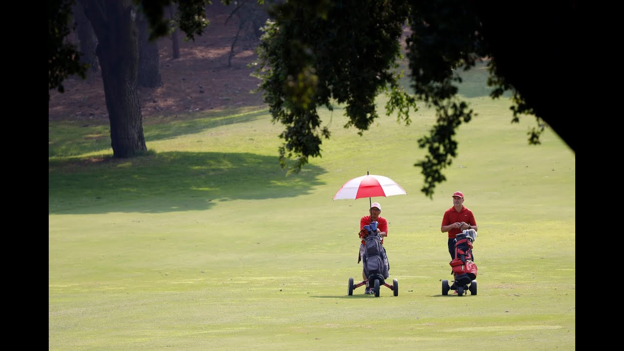 Golf e Golfistas - VII ALF Golf Day 2024 - YouTube