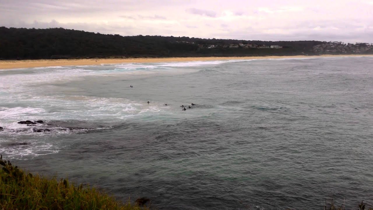 Nice surf Merimbula - YouTube