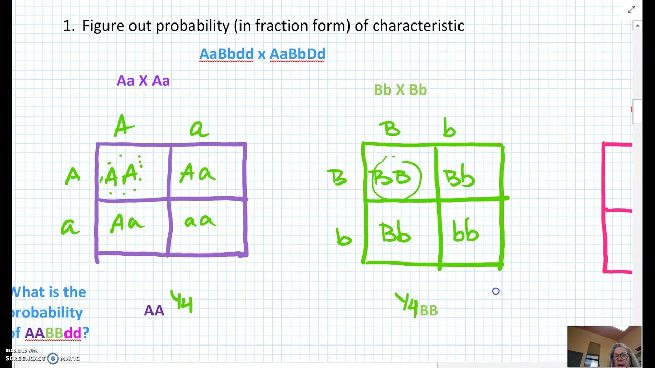 Inheritance with statistics - YouTube