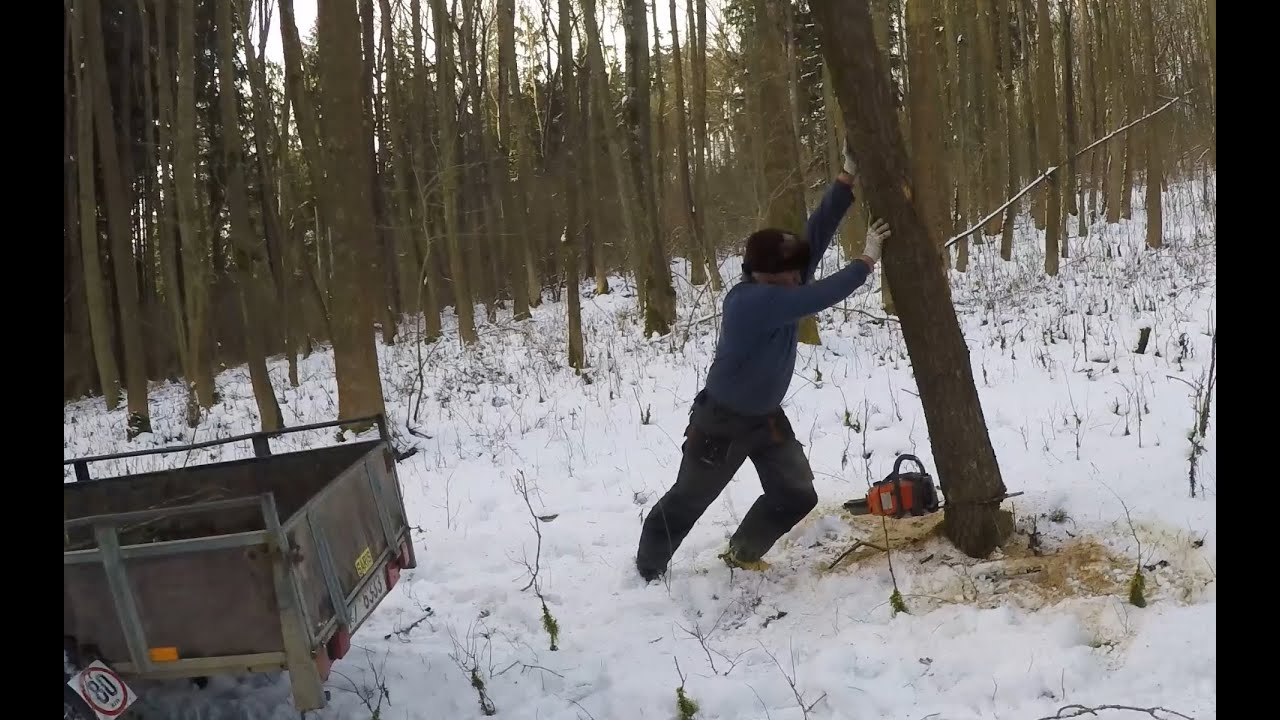 GoPro Hero 4 - funny fails (falling tree) - YouTube