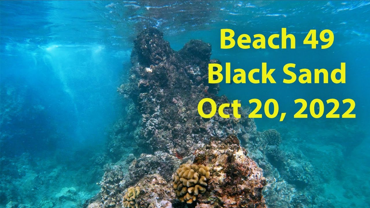 Snorkeling Session: Beach 49, Unique Black Sand Beach on Big Island, Hawaii (Oct 12, 2022) - YouTube