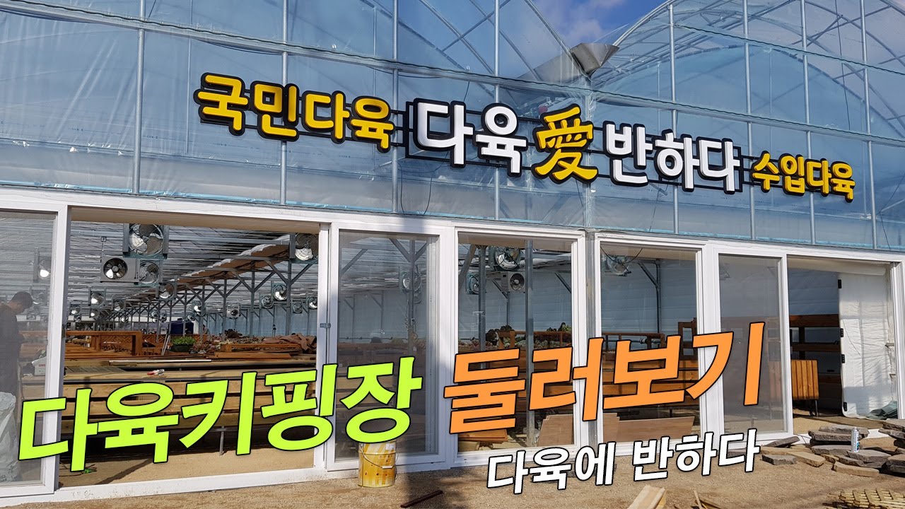 다육에반하다 다육키핑 김포다육 국민다육 수입다육 다육화분 010 9587 4004 Youtube