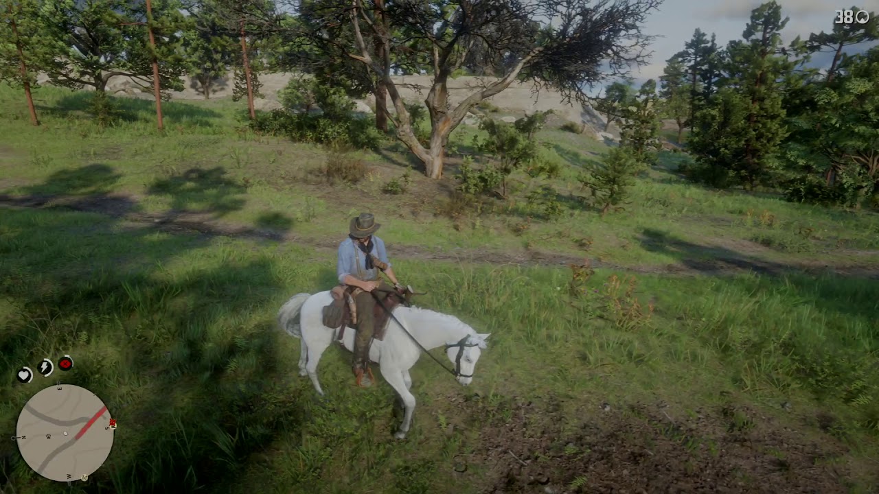RDR2 Cool Horse - YouTube