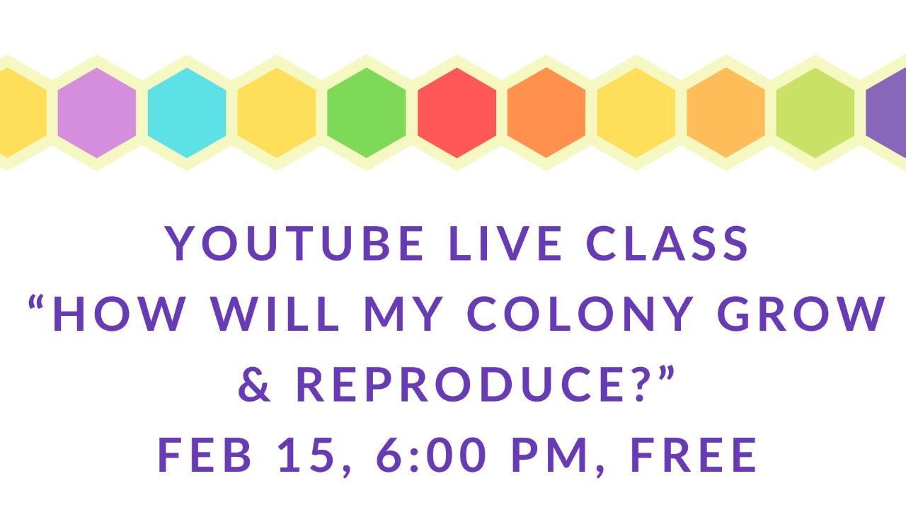 Part 3. How Will My Colony Grow & Reproduce - YouTube