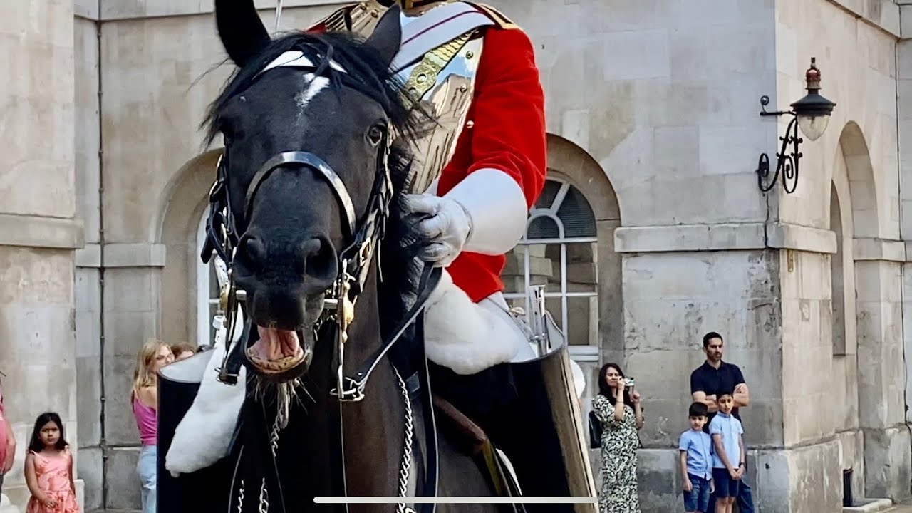 Make Way Mounted Guard Shouts - YouTube