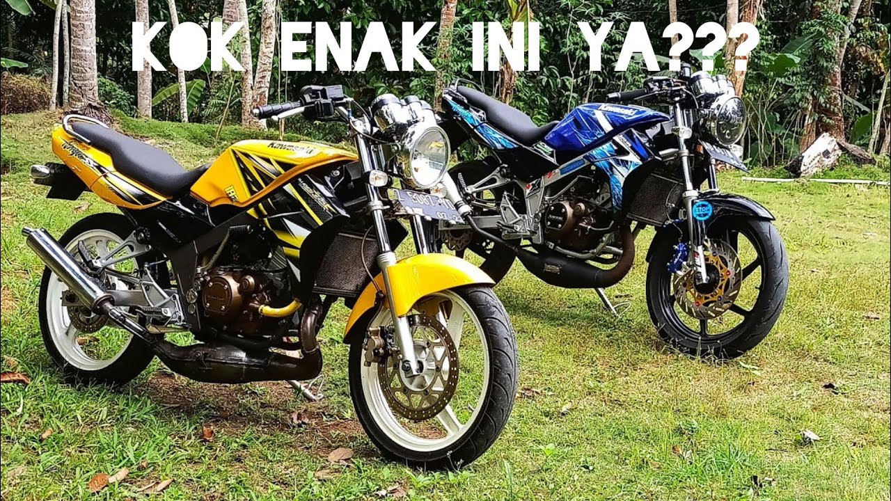 PILIH NINJA KIPS ATAU NINJA KIS??? - YouTube