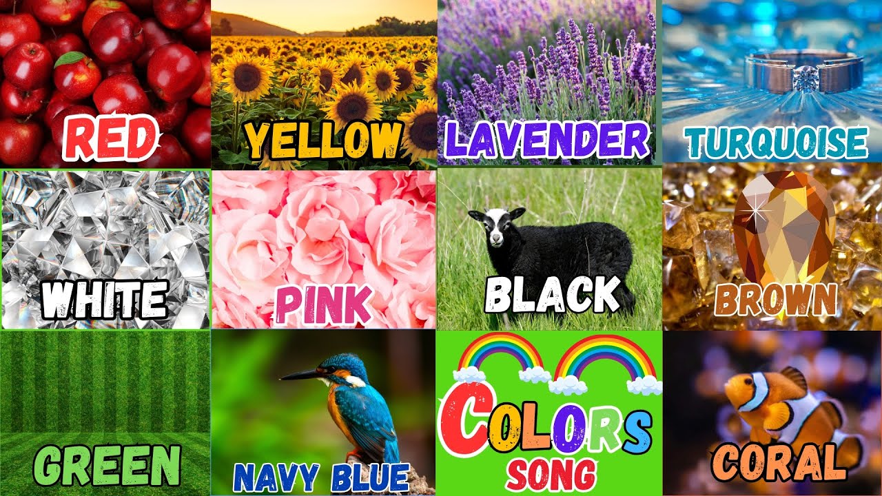 The Primary Colors Song | Learn the Colors / Colours | Nursery Rhymes ...