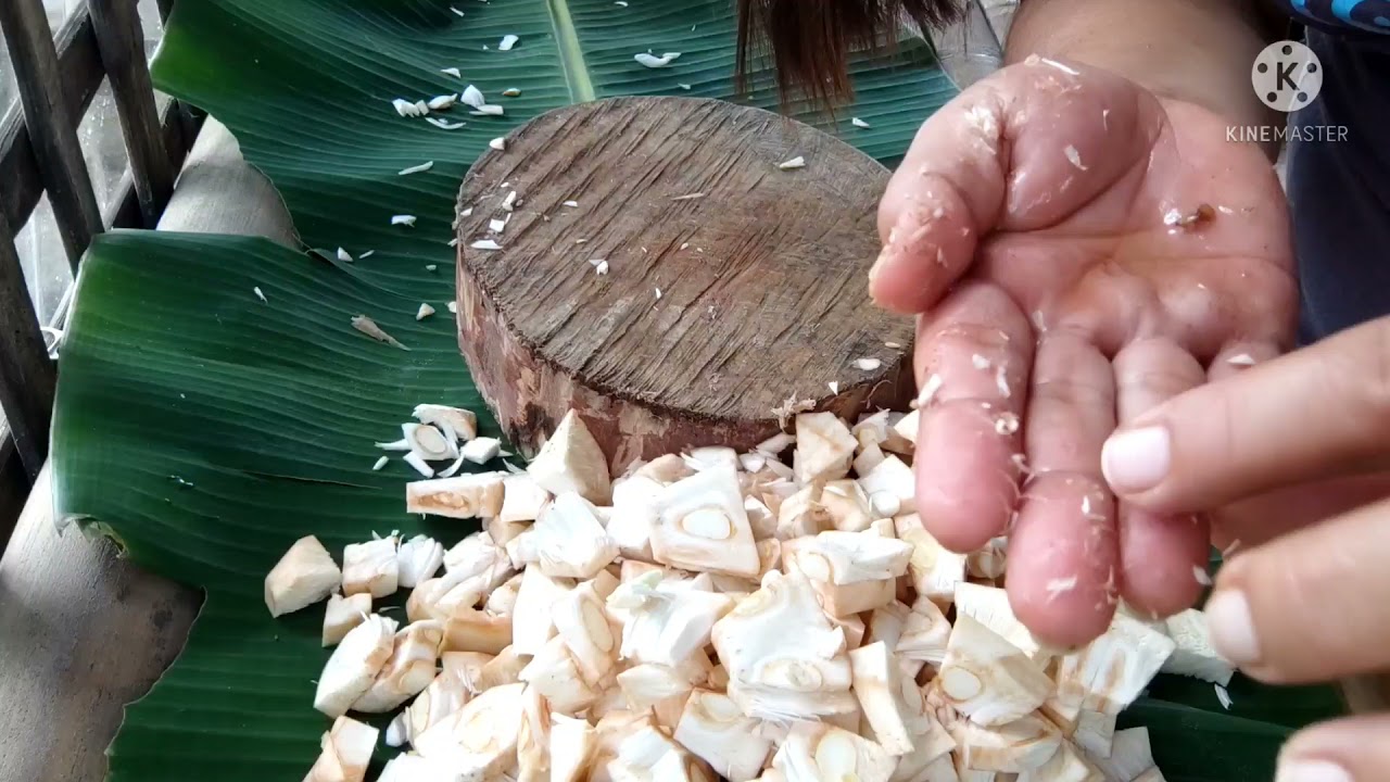 Cooking Jackfruit in Simple Way! ILONGGO DISH! - YouTube