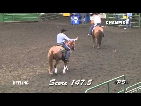Northlands Team Roping Futurity - Heeling Champion - YouTube