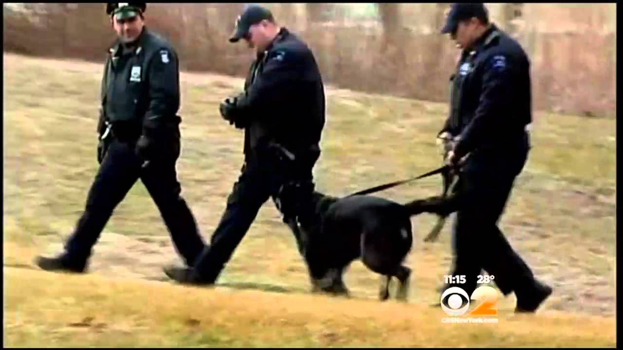 Seen At 11: Search For Long Missing Patrick Alford Heats Up - YouTube
