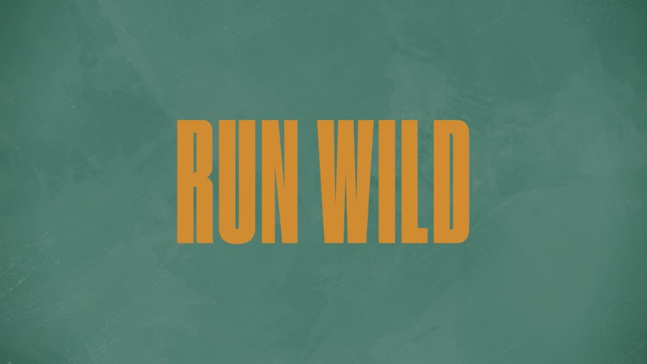 Run Wild (Official Lyric Video) - LIFE Worship - YouTube