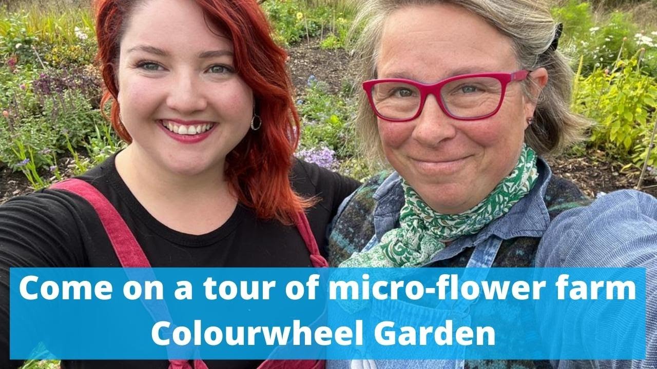 A tour of first season micro flower farm Colourwheel Garden. Ideas and advice. - YouTube
