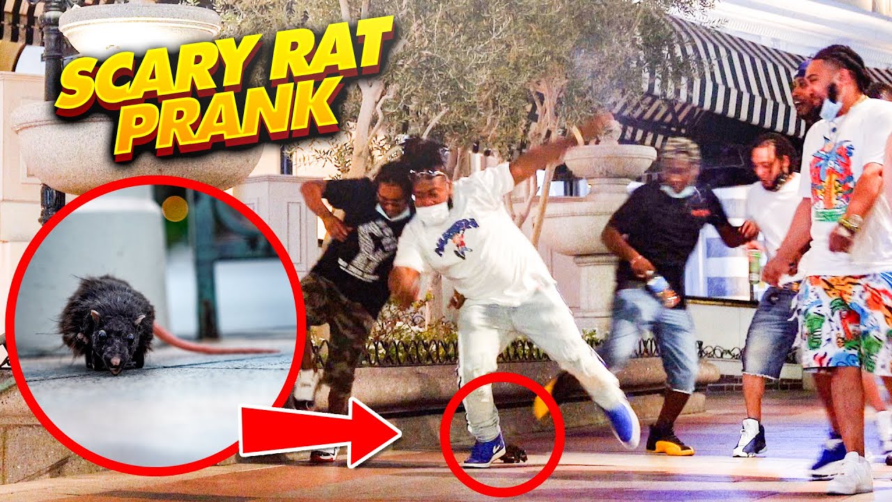 SCARY RAT PRANK !!( Part 1 ) - YouTube