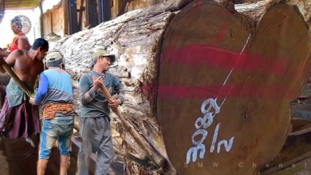 Incredible Modern Woodworking Factory || Excellent Sawmill Extreme ...