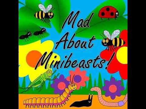 Mini beasts - YouTube
