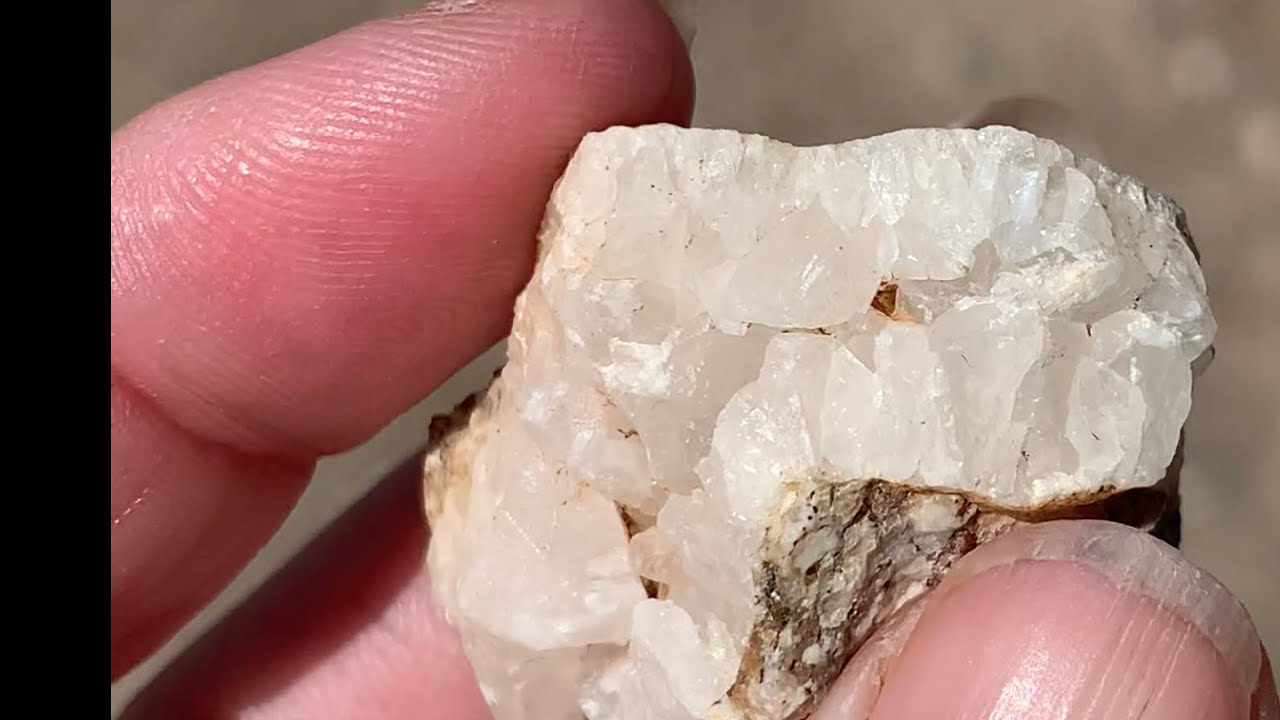 Procrastination Station - Rockhounding Edition - Petrified Wood, Quartz ...