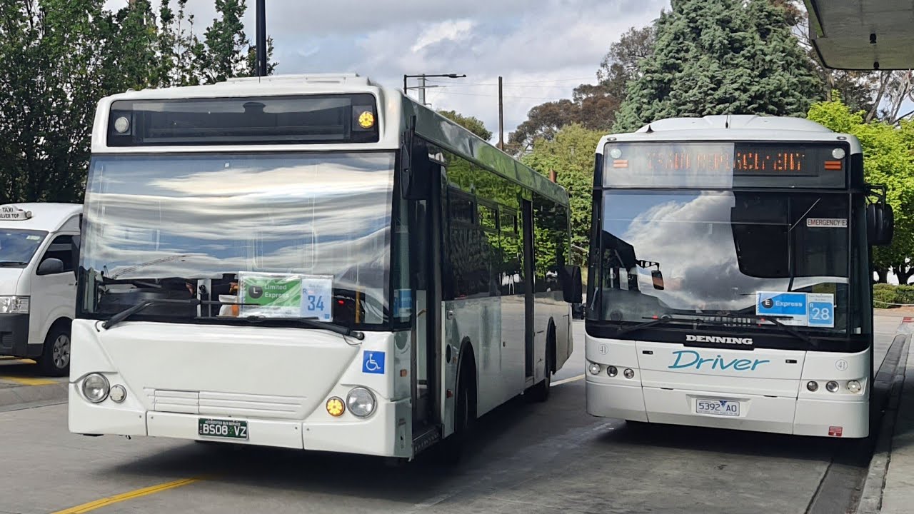 (Nice ZF)City Connect BS08VZ Mercedes-Benz O405NH (Custom Coaches 550 ...