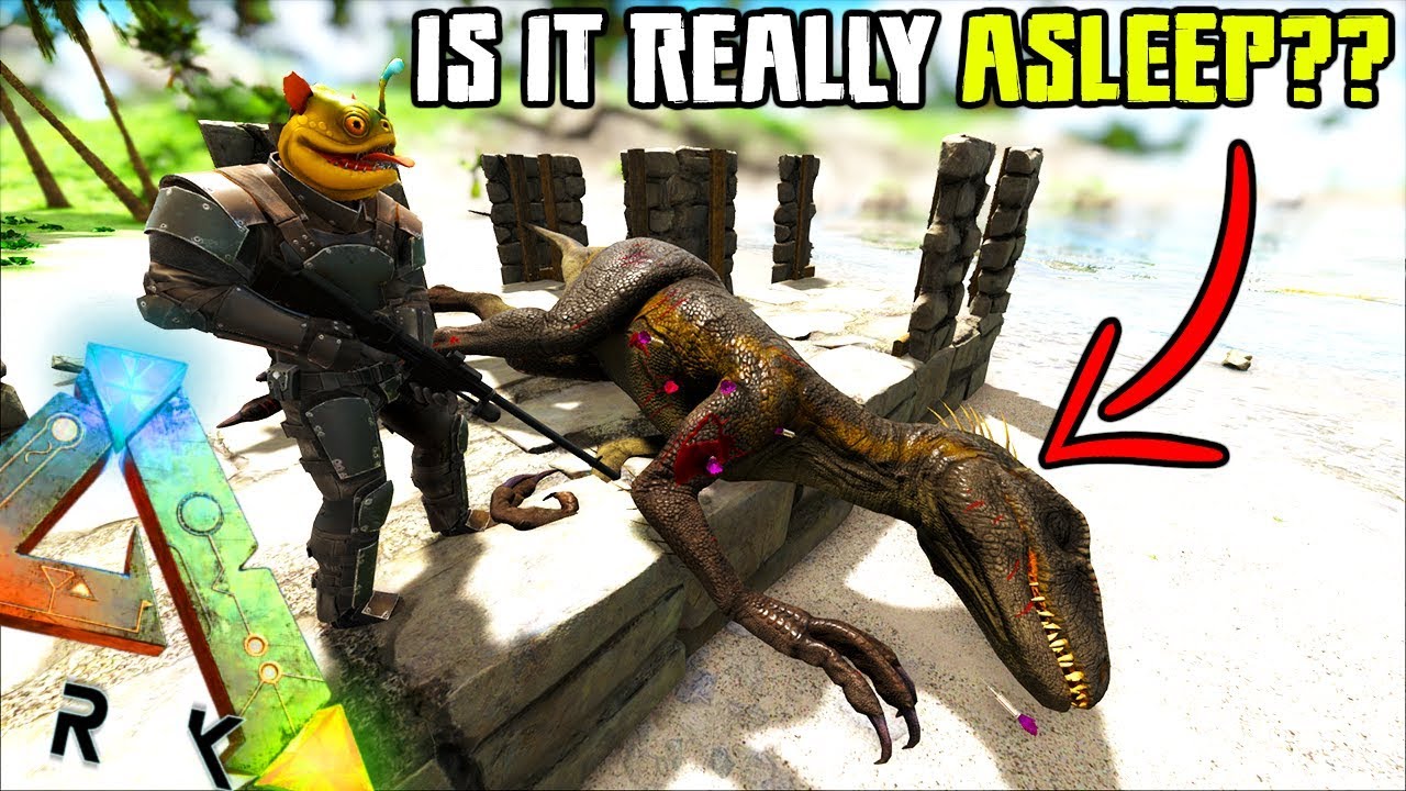 THE INDORAPTOR ,IT PLAYS A TRICK ON US !! | JURASSIC ARK | ARK SURVIVAL ...