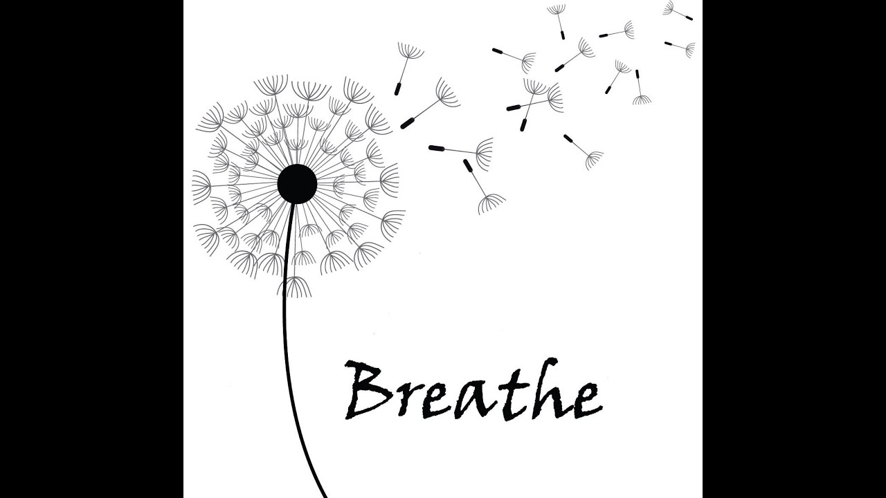 Basic Breath Awareness meditation - YouTube