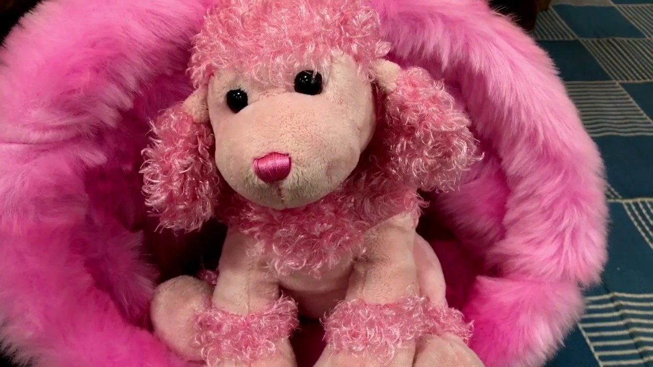 toys-farm-animals-counting-numbers-1-50-youtube