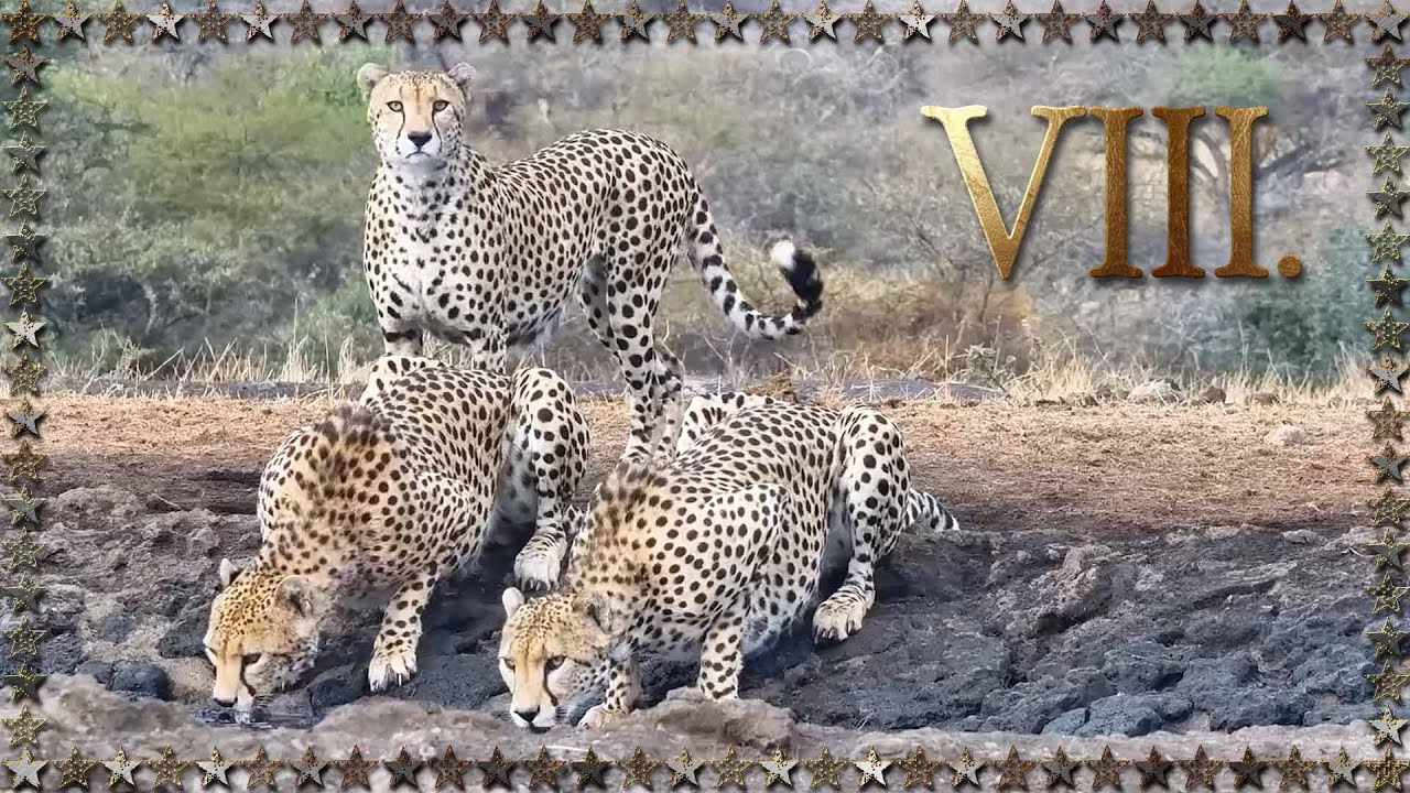 Our 3 sUns. The Great, "Golden" Central sUn. The Newly Created Galactic ...