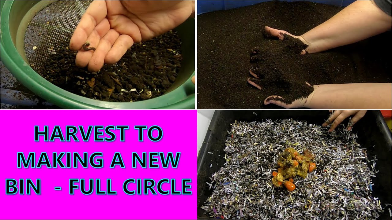 MAKING A NEW BIN FROM HARVEST LEFTOVERS - YouTube