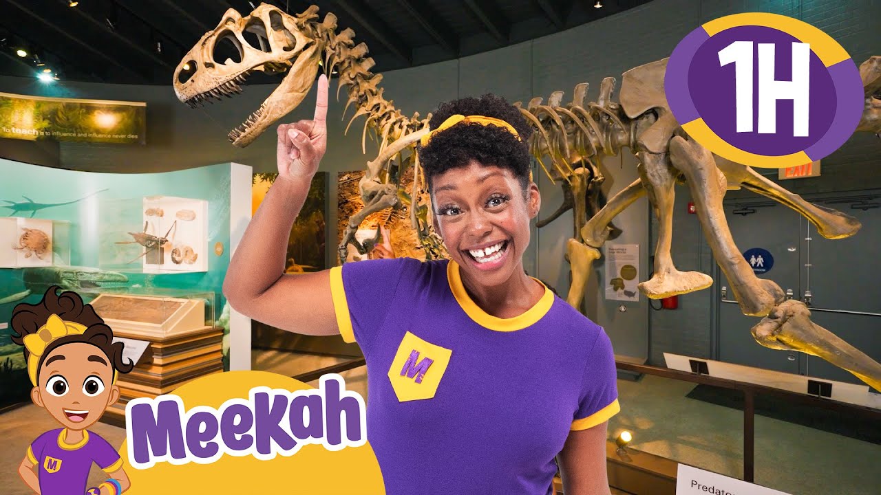 Dino Fun at the Museum with Meekah | 1 HR OF MEEKAH! | Educational ...