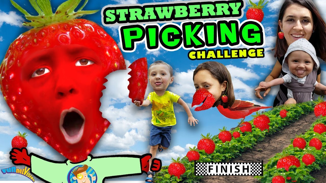 KIDS STRAWBERRY PICKING CHALLENGE! Fields of Fun w FUNnel Family + Play ...