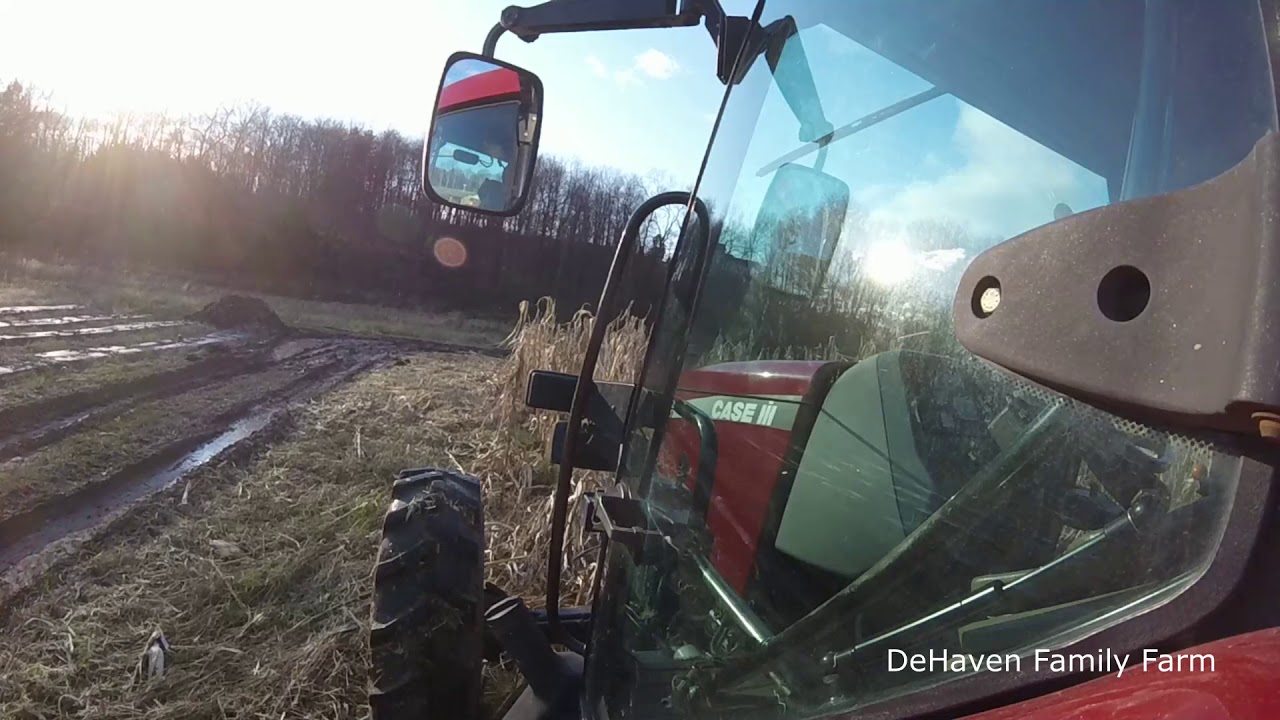 Cutting Corn- Case MX 100c - YouTube
