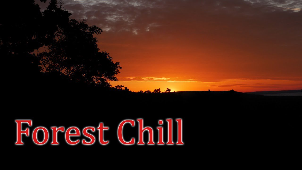 Forest Chill - YouTube