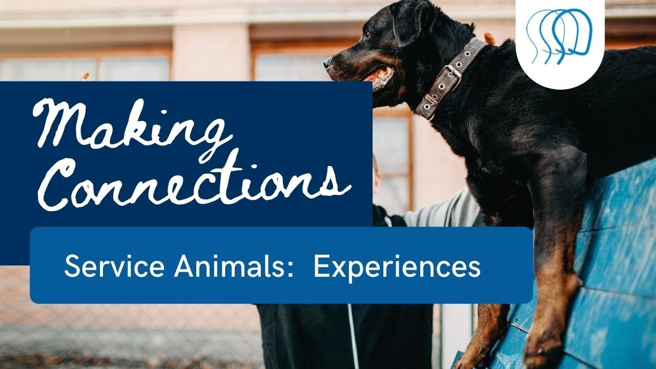 Making Connections: Services Animals Chris's Story - YouTube