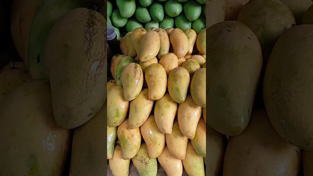 Piko Mango