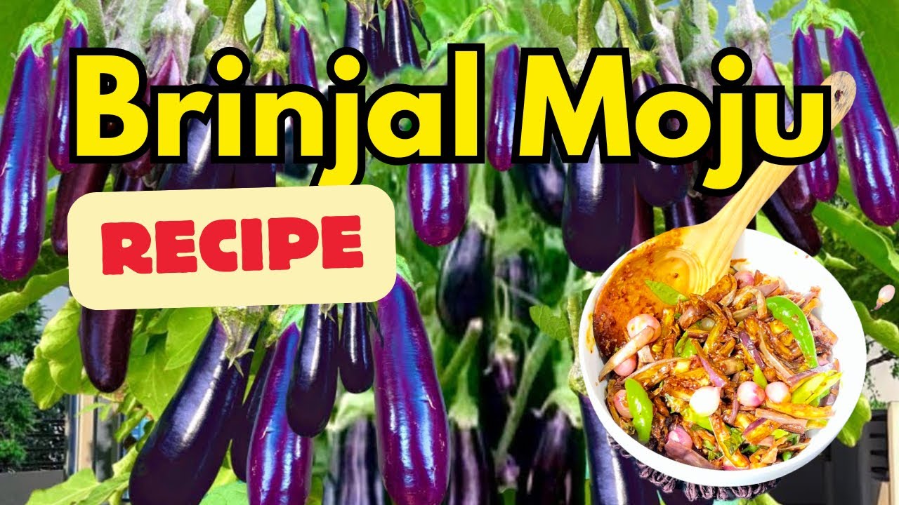 Brinjal Moju Recipe 🍆🍆 | wambatu moju | cooking recipe #brinjalmoju ...