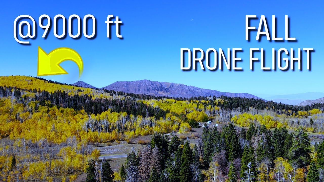 Fall Colors 2022 Payson lake Area - YouTube