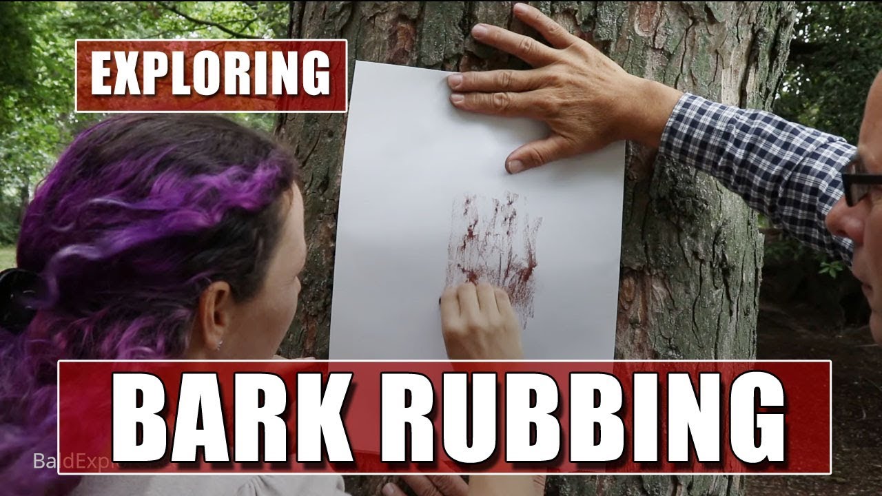 The World of Bark Rubbing - YouTube