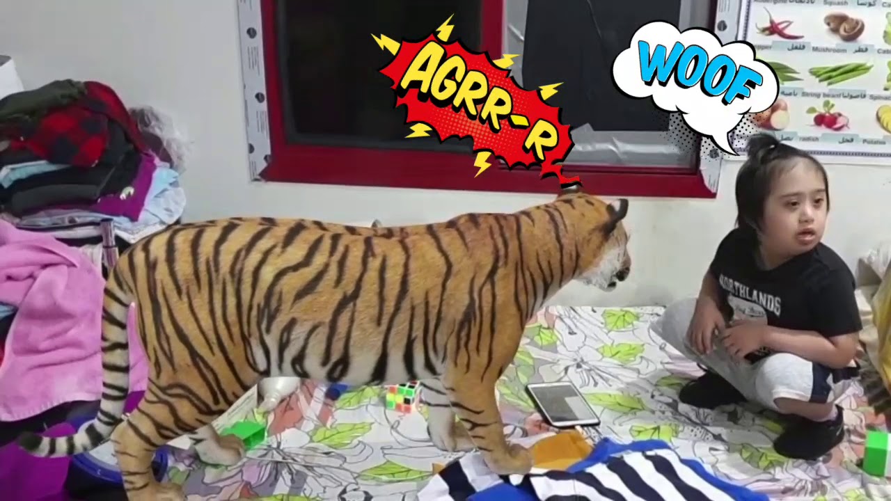 Braveheart new friend||Bingo nursery song - YouTube
