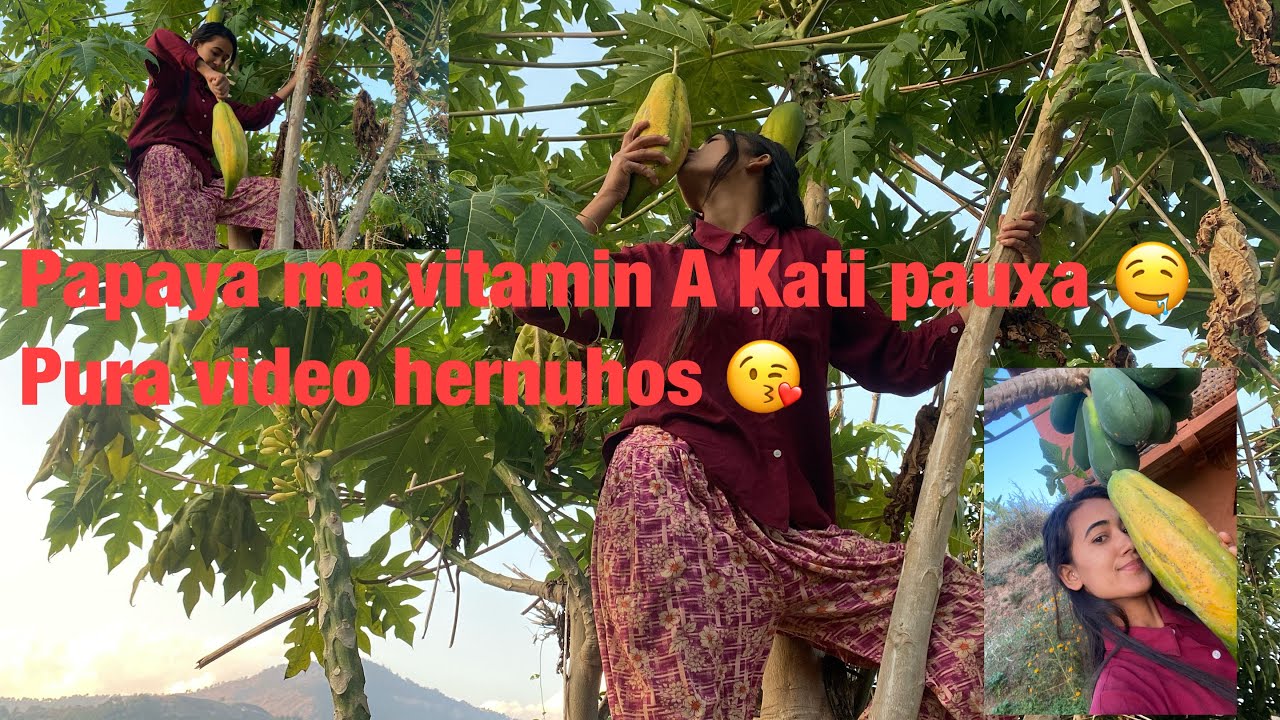 Papaya #vlogs - YouTube
