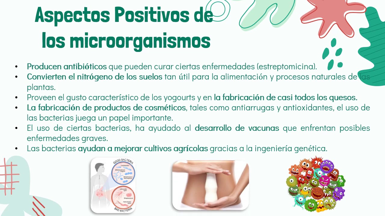 Beneficios De Los Microorganismos Para La Humanidad Estos Beneficios Images Beneficios De Los Microorganismos Para La Humanidad Estos Beneficios Images