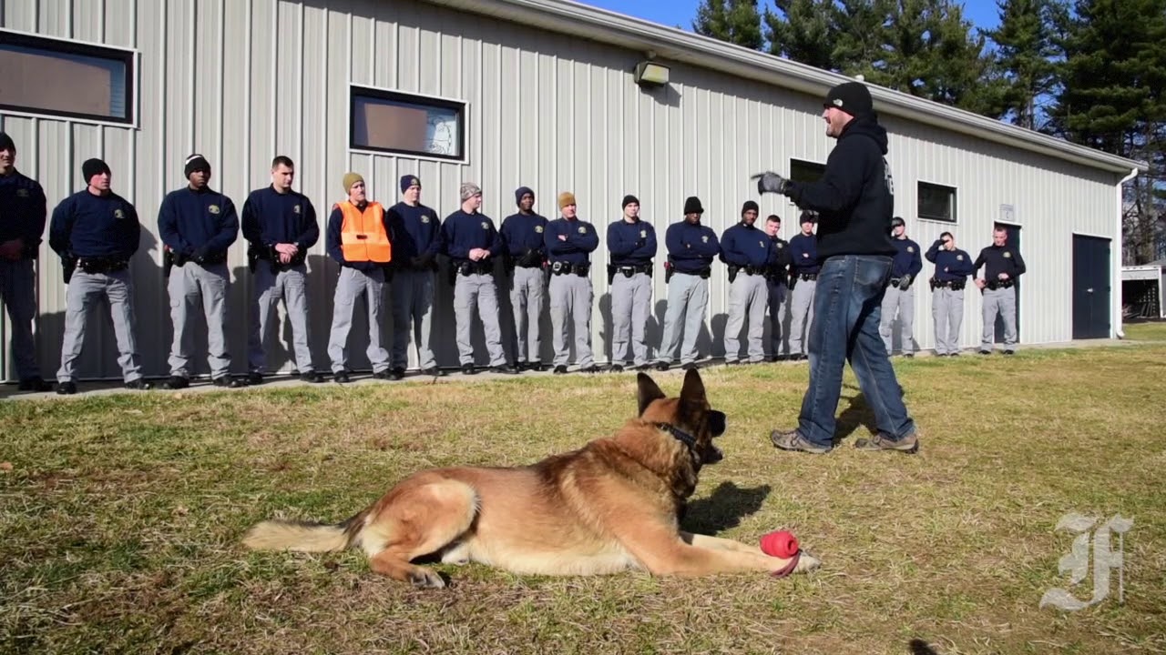 Earning the Badge: K-9 handler - YouTube