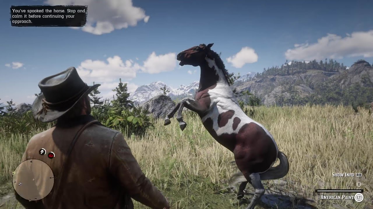 Red Dead Redemption 2 American Paint Location - YouTube