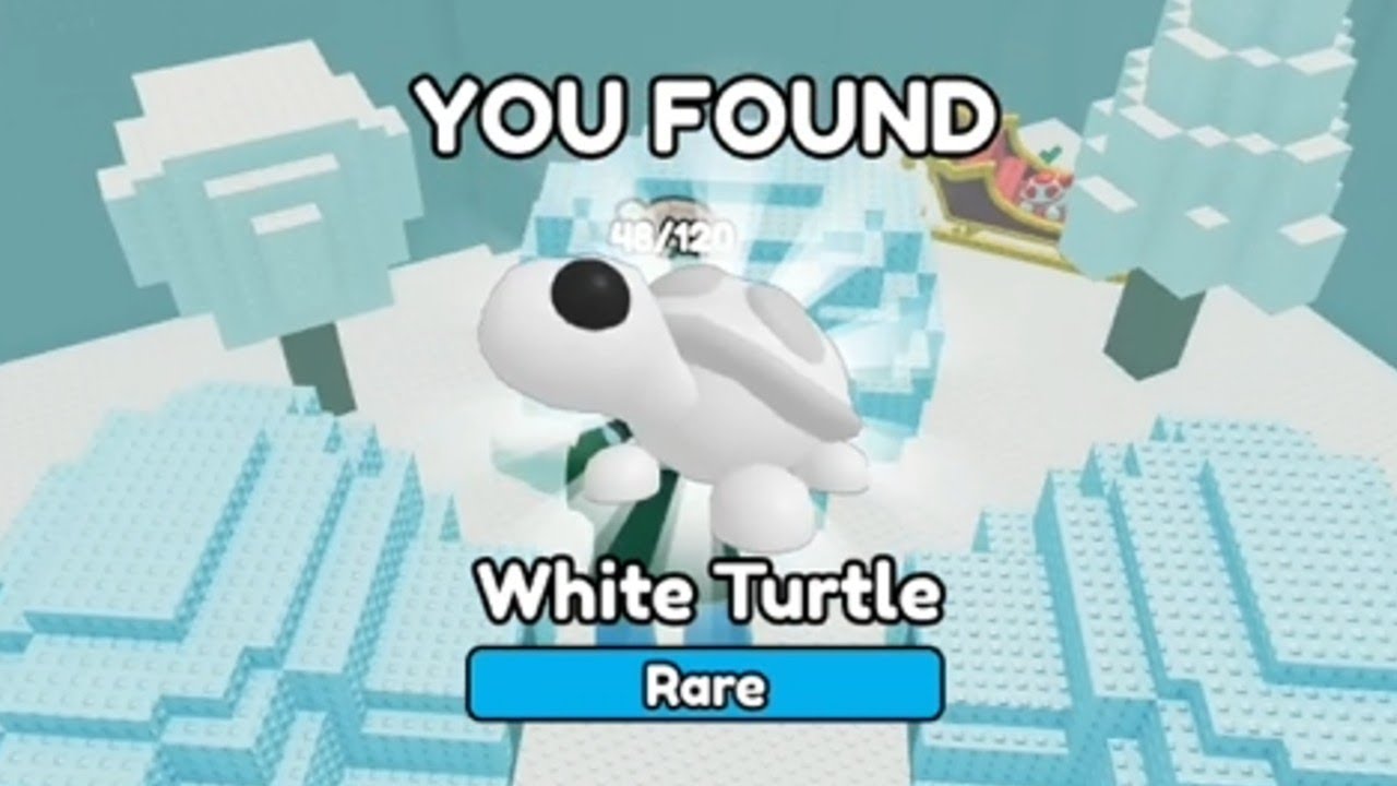 Find the Turtles - Where to Find the White Turtle (Roblox) - YouTube