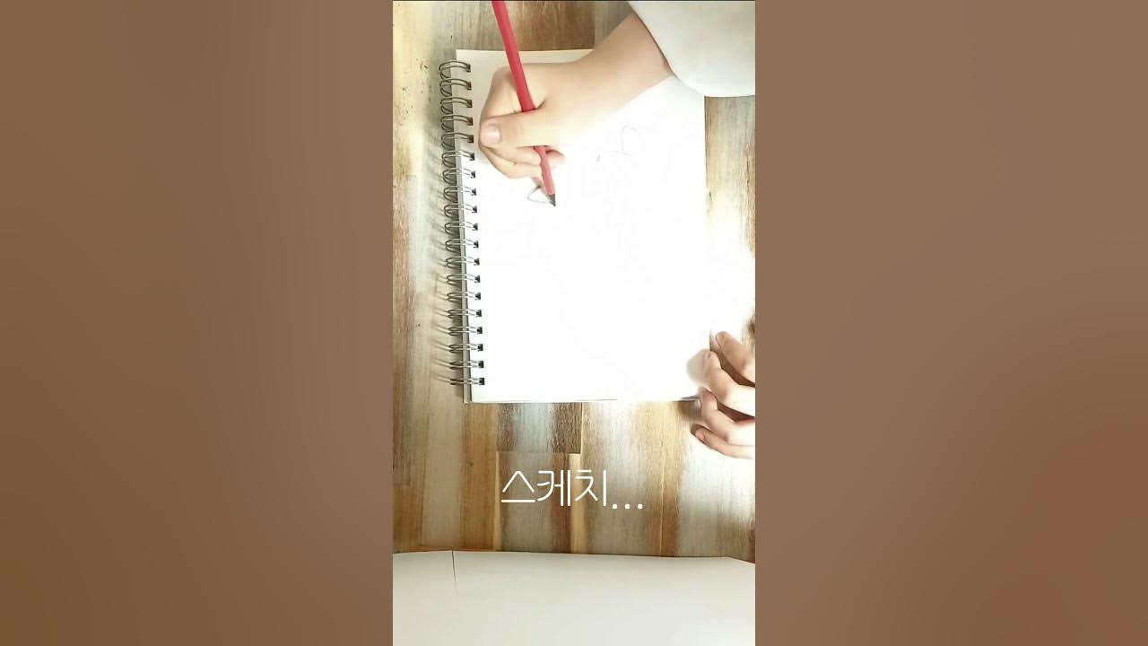 12년생에 고양이 그리기 빨리감기 Shorts Youtube