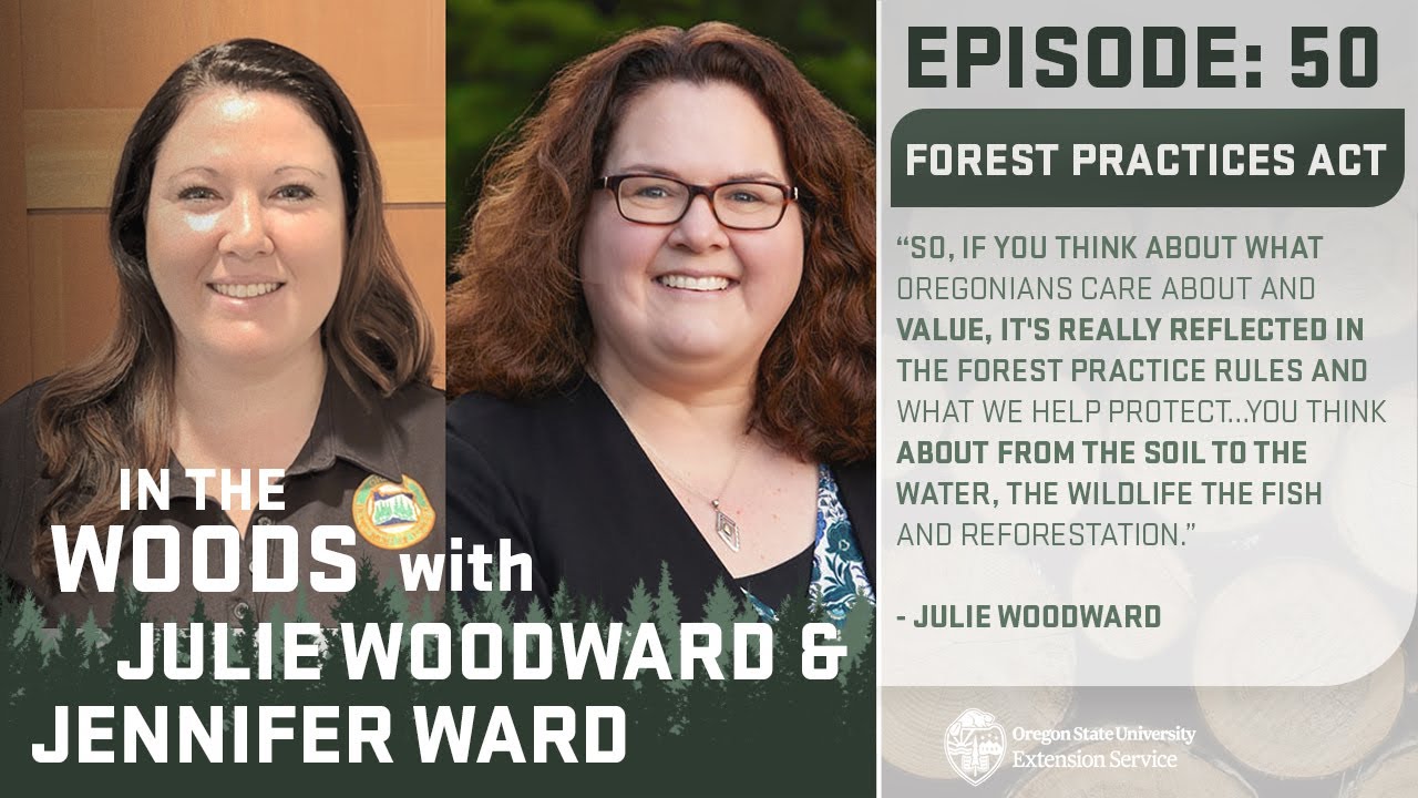 In the Woods - Episode 50 - Oregon Forest Practices Act - YouTube
