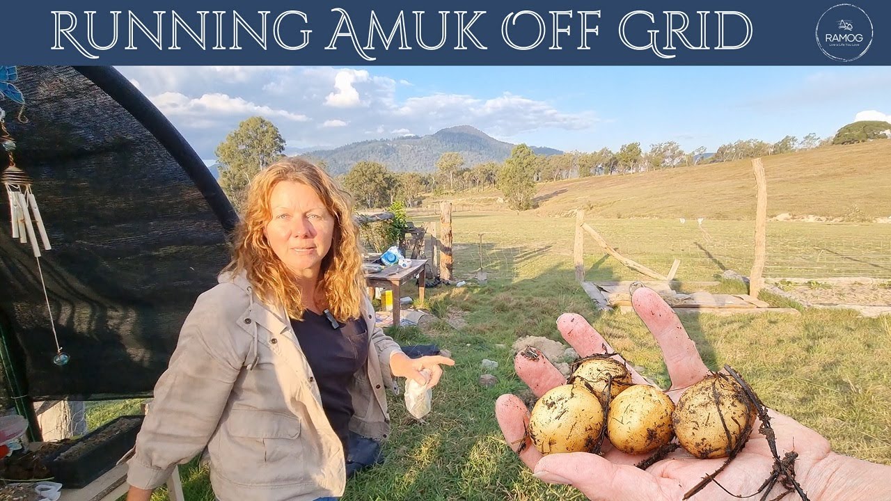 Fun, Friends and Farming | S2 E12 - YouTube