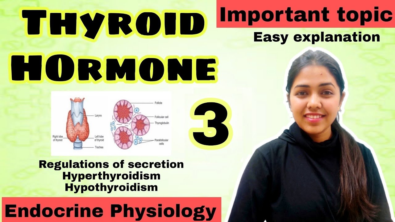 Thyroid hormone regulation , Hyperthyroidism , Hypothyroidism endocrine ...