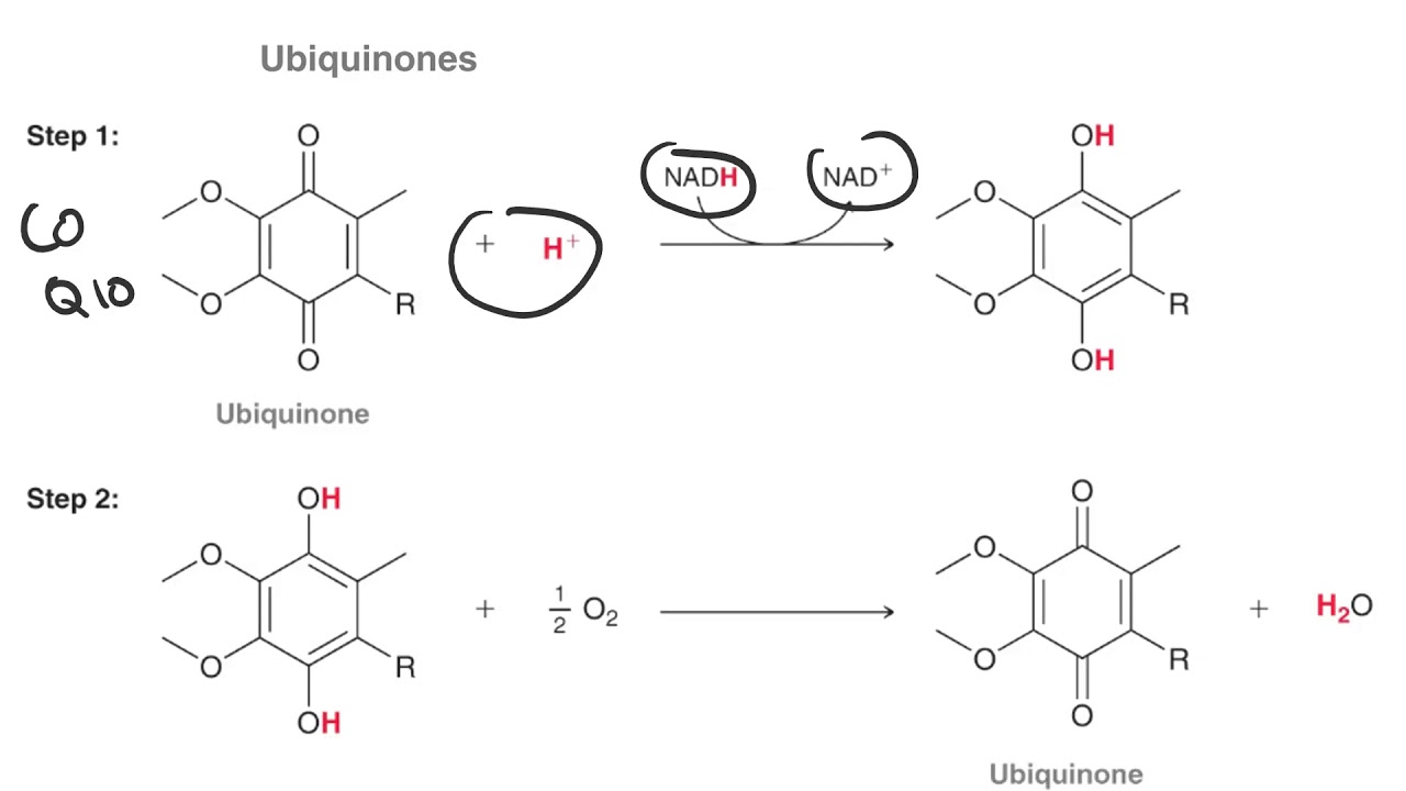 Phenol Oxidation