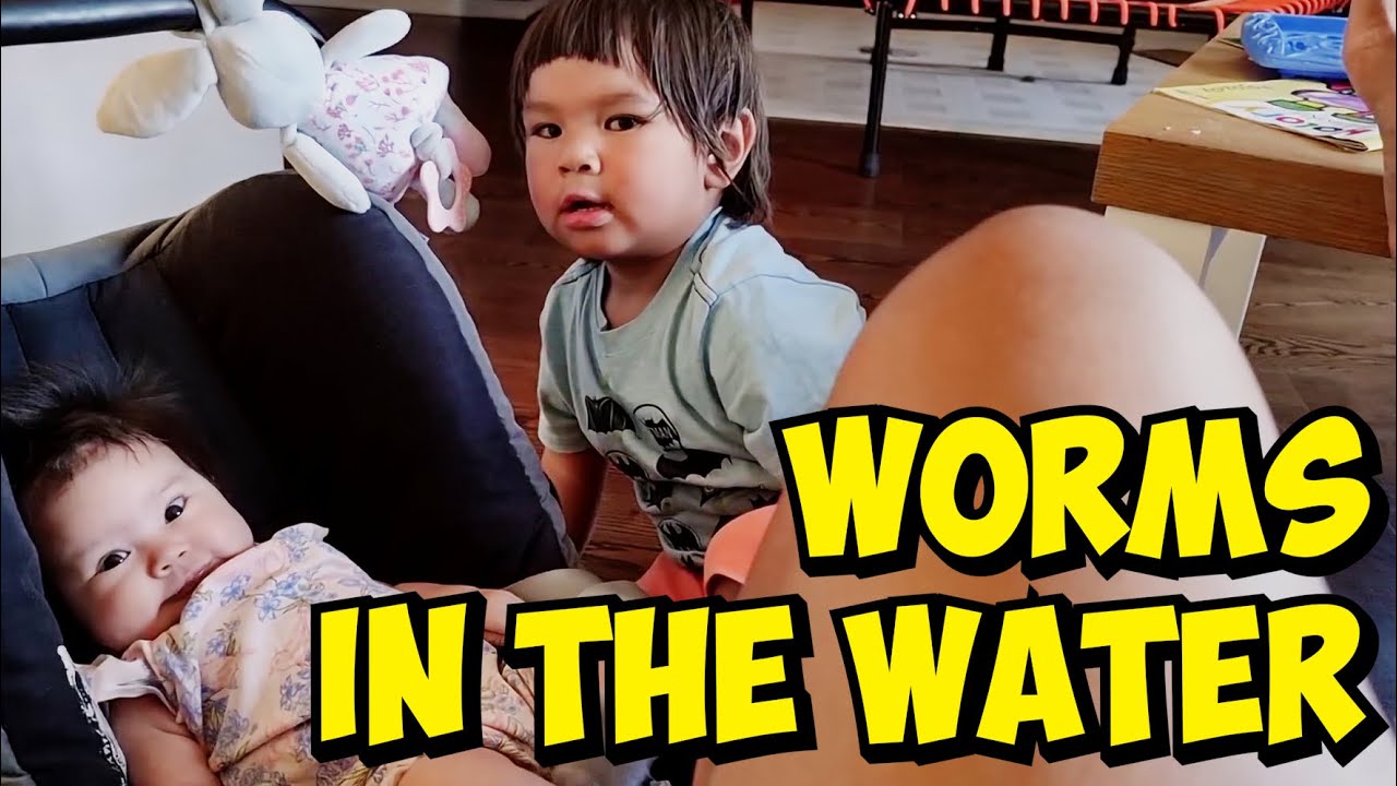 Na shock ako sa aming Water filter sa bahay ang daming Uod (worms ...