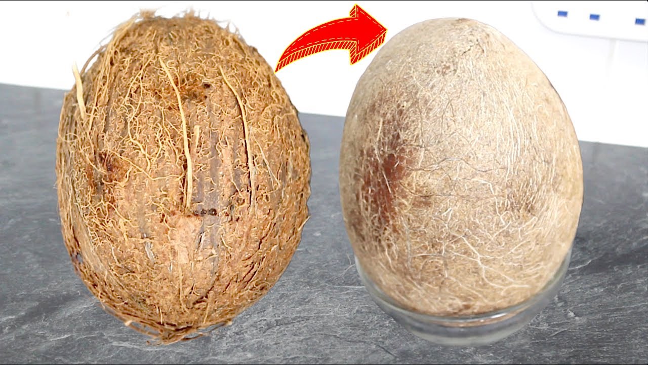 How To Remove COCONUT Shell From COCONUT How To BREAK COCONUT SHELL How To Remove COCONUT Shell From COCONUT How To BREAK COCONUT SHELL