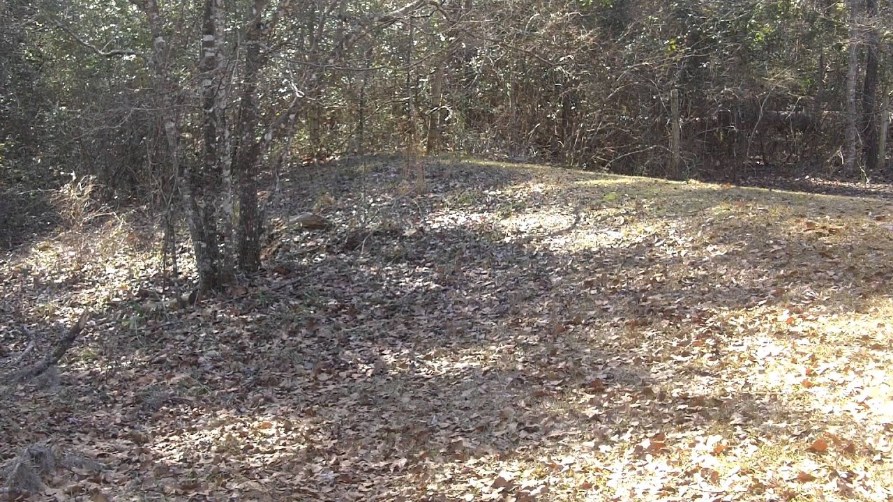 Battle of Natural Bridge, FL (Mini-Documentary) - YouTube