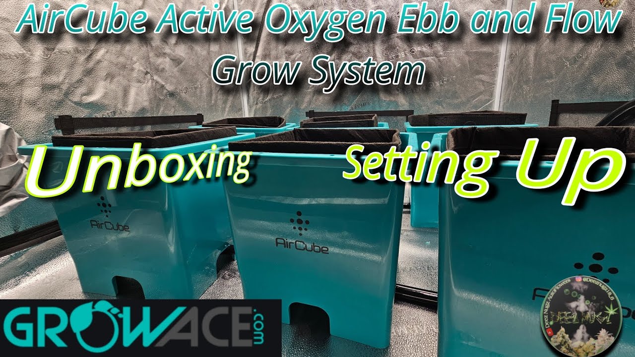 AirCube Active Oxygen Ebb and Flow 6-Site Grow System - Unboxing and ...